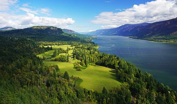 Meio Ambiente - Ecologia, Poluição, Lixo e Reciclagem | Cultura Mix ...
